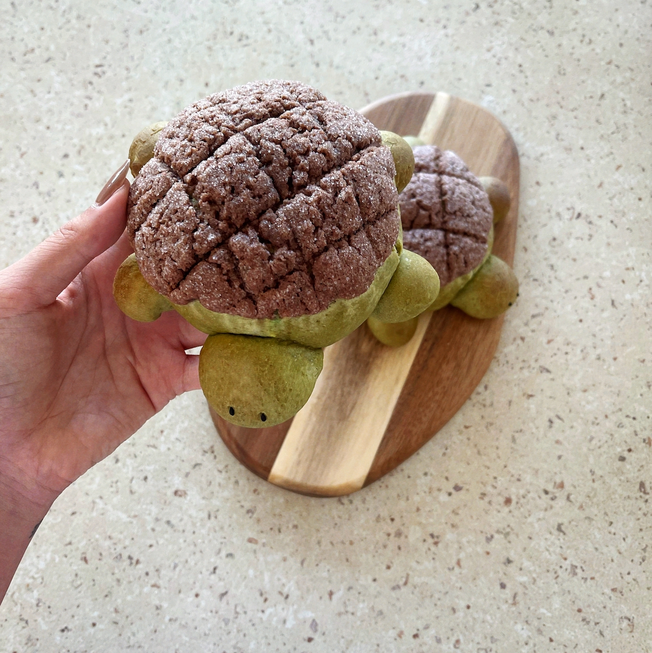 turtle bread (melon pan) – audreysaurus